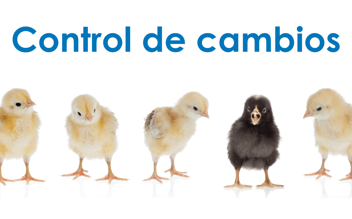 Control de cambios y validación de procesos - Asinfarma: consultoría ...